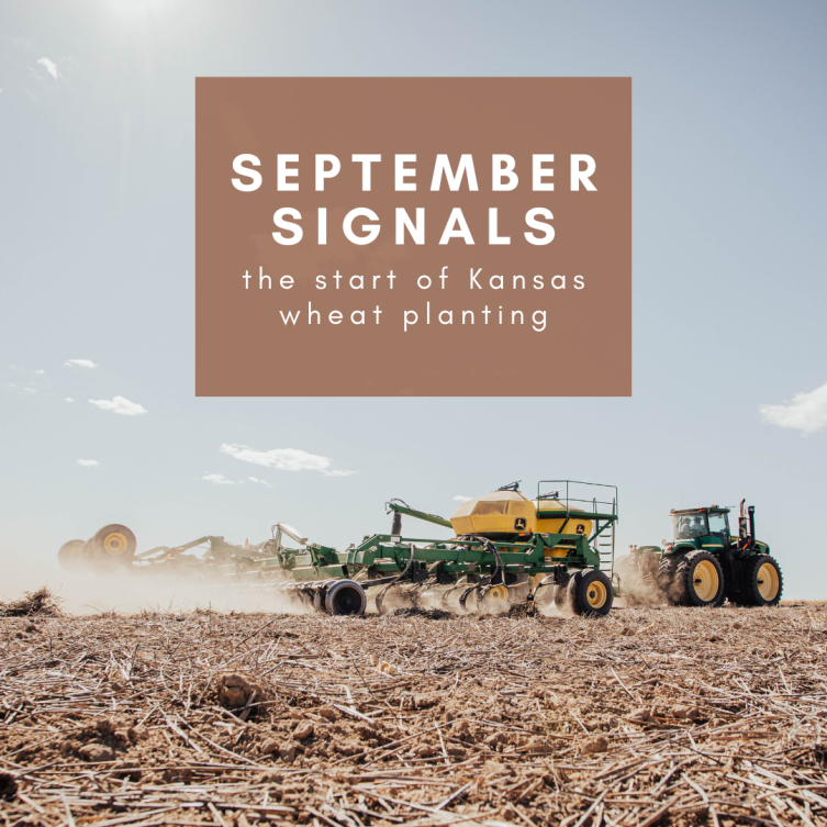 September signals the start of Kansas wheat planting | Kansas Wheat ...