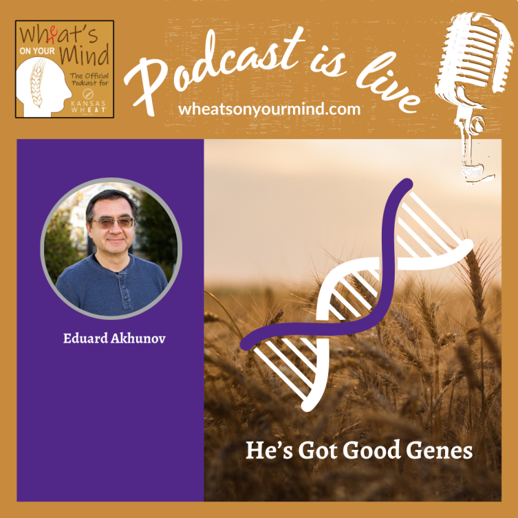 Wheat's On Your Mind Podcast – He’s Got Good Genes, Eduard Akhunov ...