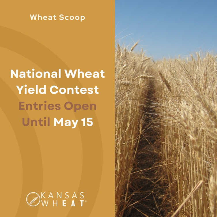 National Wheat Yield Contest Entries Open Until May 15 | Kansas Wheat ...