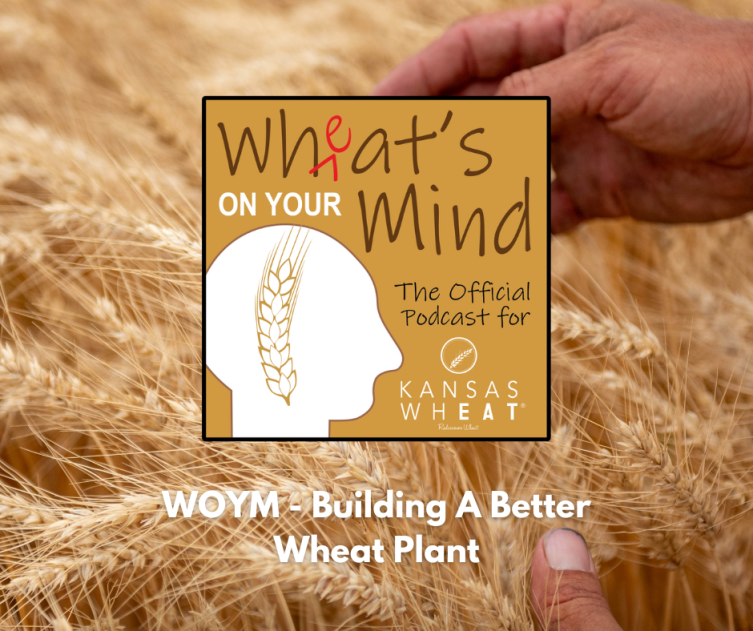 WOYM - Building A Better Wheat Plant | Kansas Wheat | Leaders in the ...
